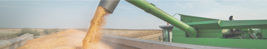 Bulk Bags for Agriculture: Your Agricultural Bags Solution