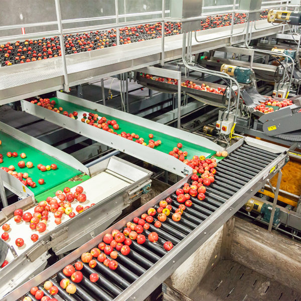 Food Grade Plastic Which Plastics Are Safe For Food Storage Food Grade Plastic Which Plastics Are Safe For Food Storage