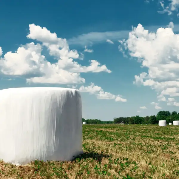 Silage Wrap & Bale Wrap For Sale: Square & Round Hay Bale Wrap Plastic ...